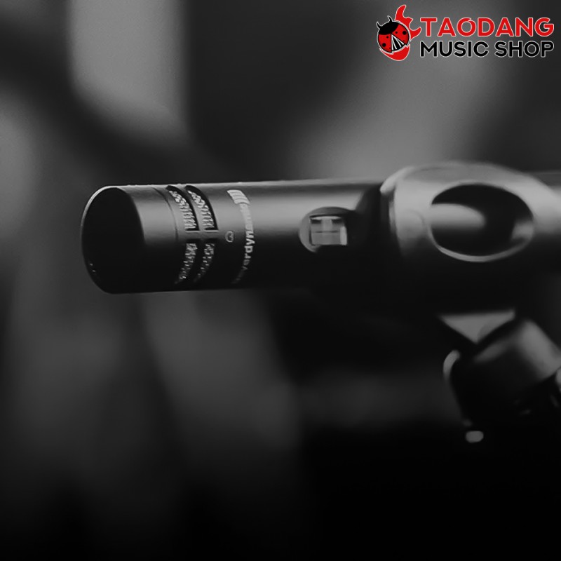 ไมโครโฟน Beyerdynamic MC930 Stereo Set - เต่าแดง