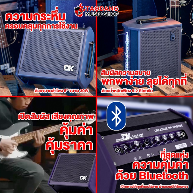 แอมป์เบส DK Technology iB-30 สี Purple - เต่าแดง